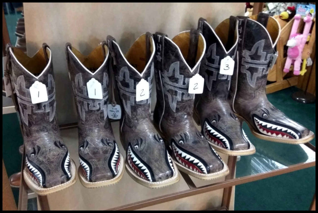 Visitar Yellowstone en 3 días